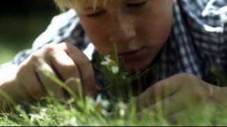 Holger & Vilde (2010) » TheSkyKid.Com